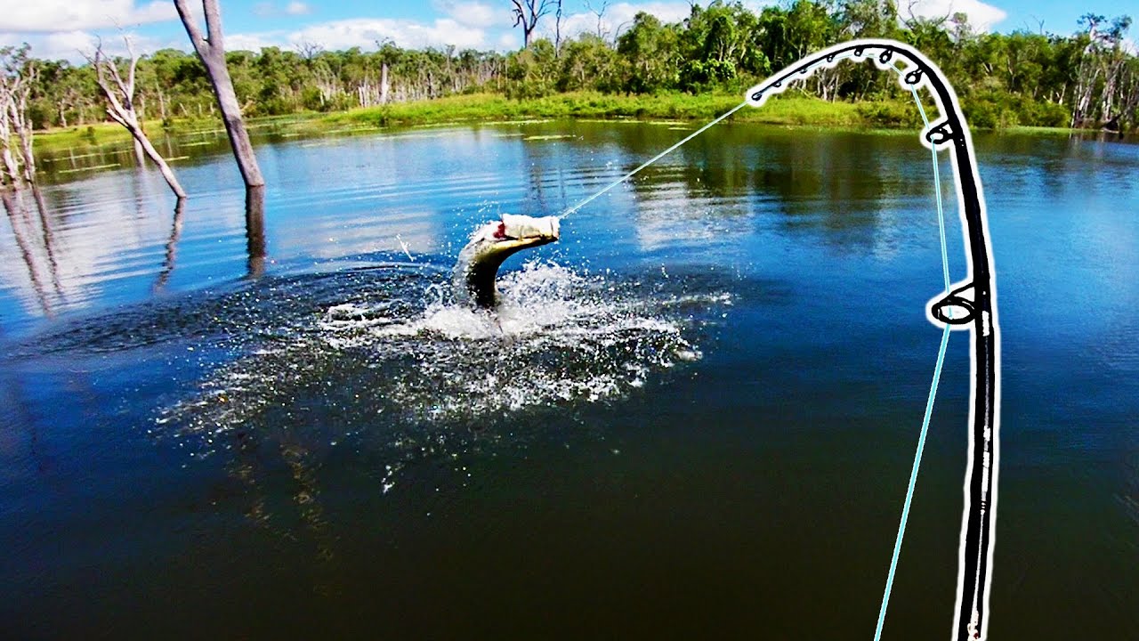 The Fish Of A Thousand Casts - YouTube