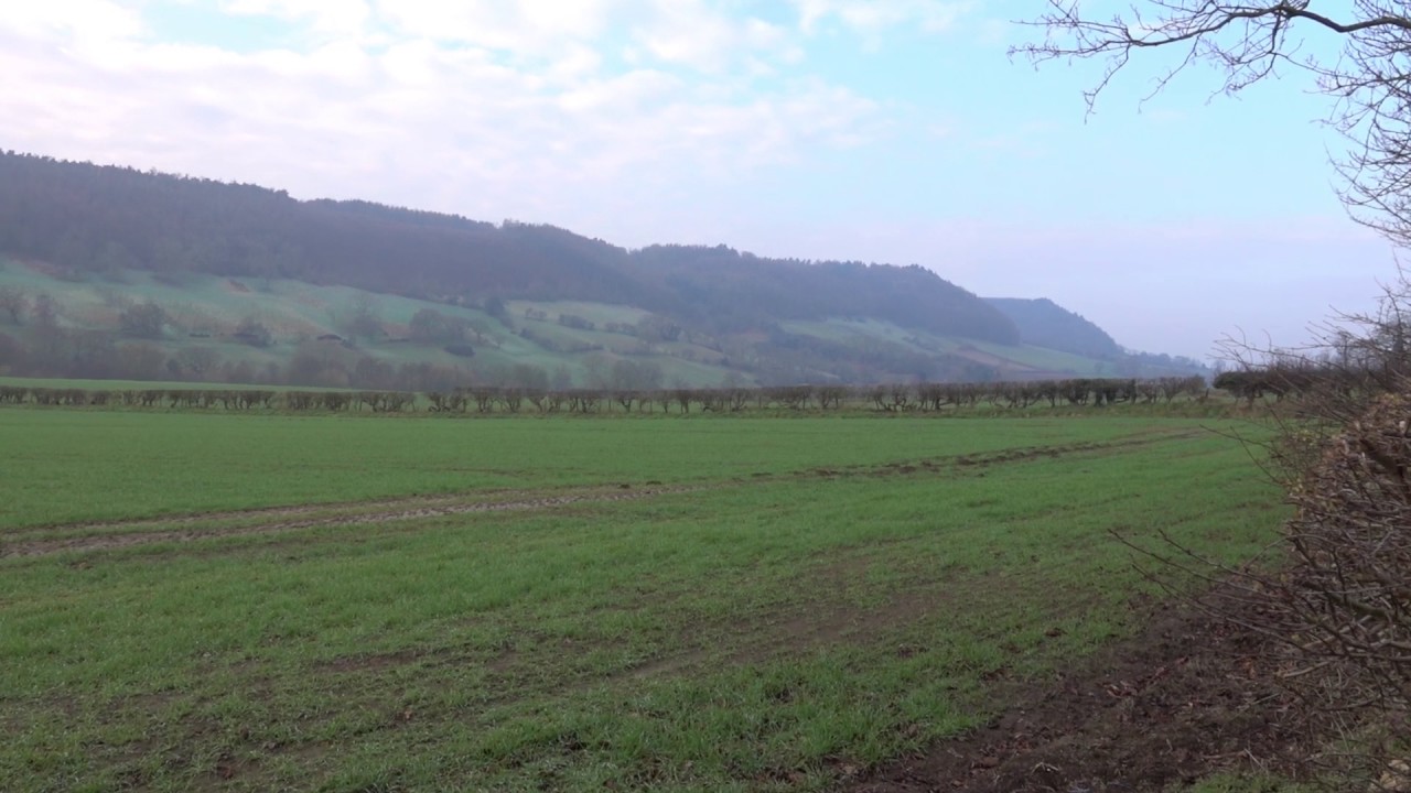 Derwent Valley Hackness - YouTube