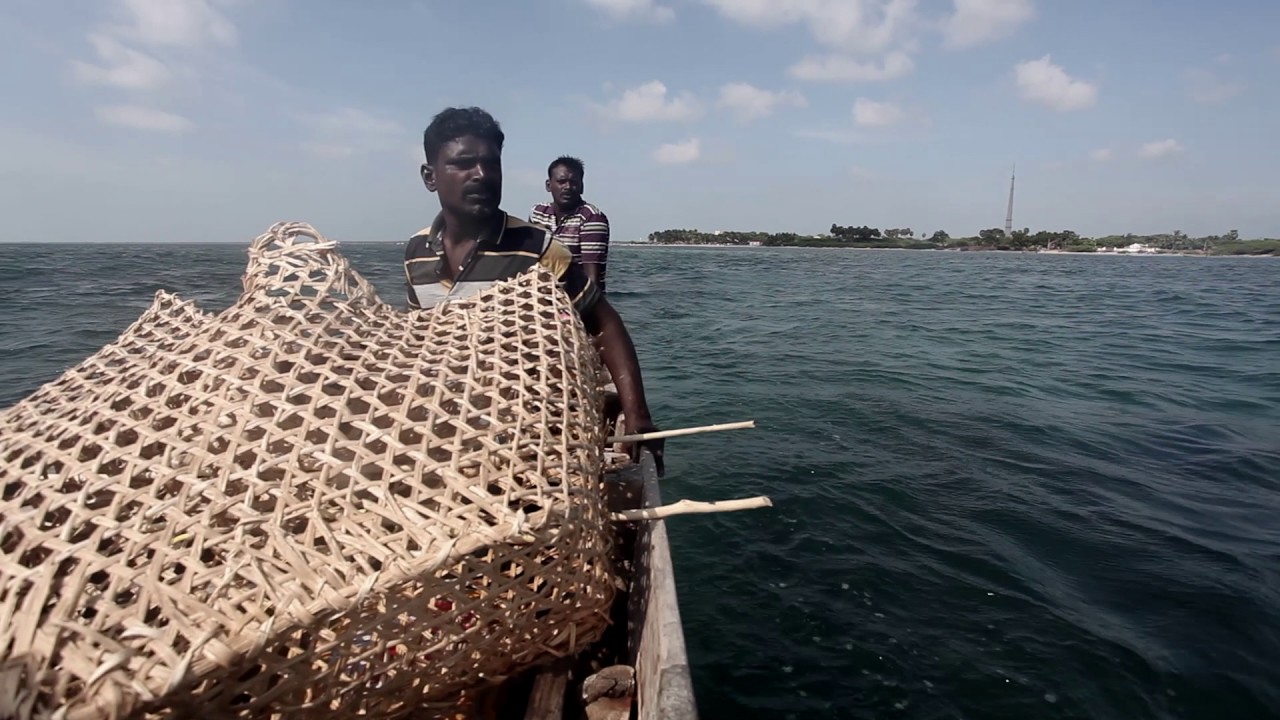 Fishing Palk Bay - Trailer - YouTube