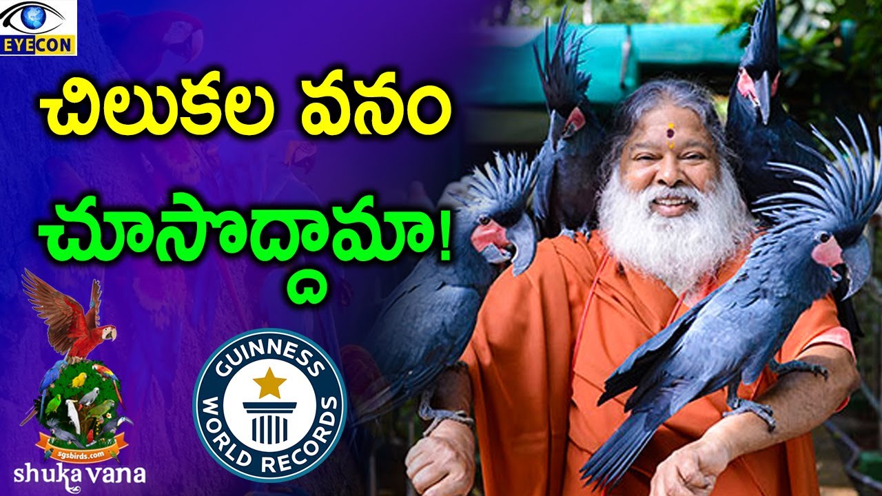 చిలుకల వనం చూసొద్దామా! | Sukhavana Mysore || Eyeconfacts - YouTube