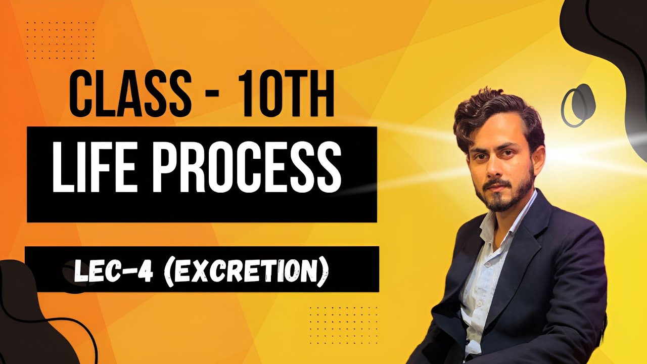 Class 10th Chapter 5 | Excretion in Life Processes | Excretion in ...