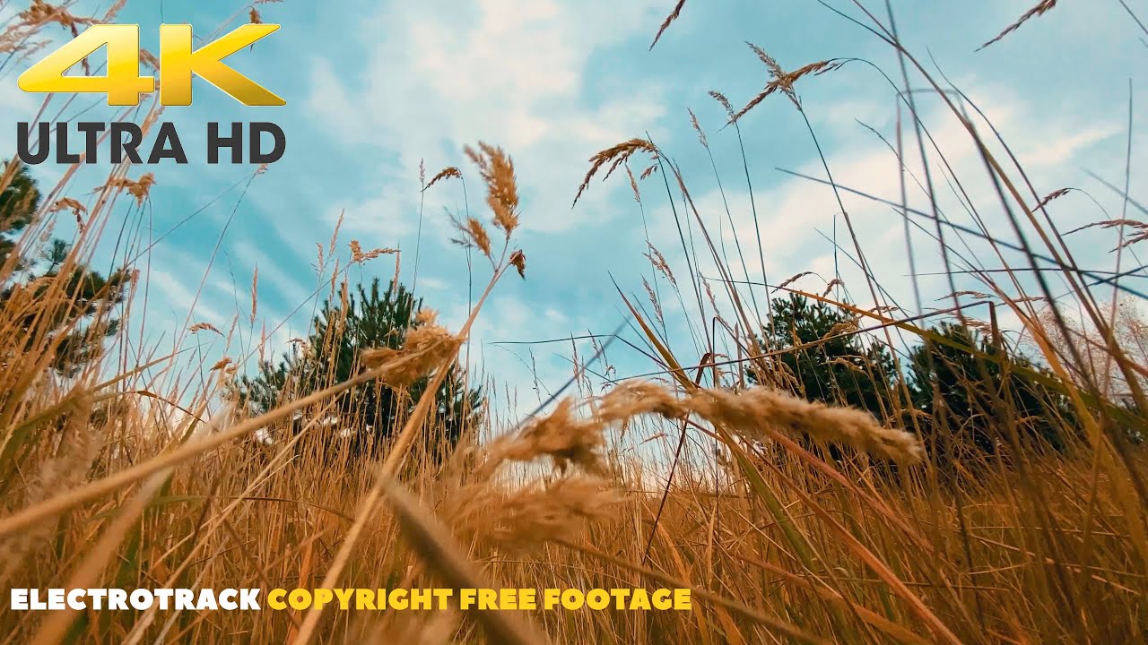 Nature Walk Field Cloudy Sky Background Video 4K | No copyright footage ...