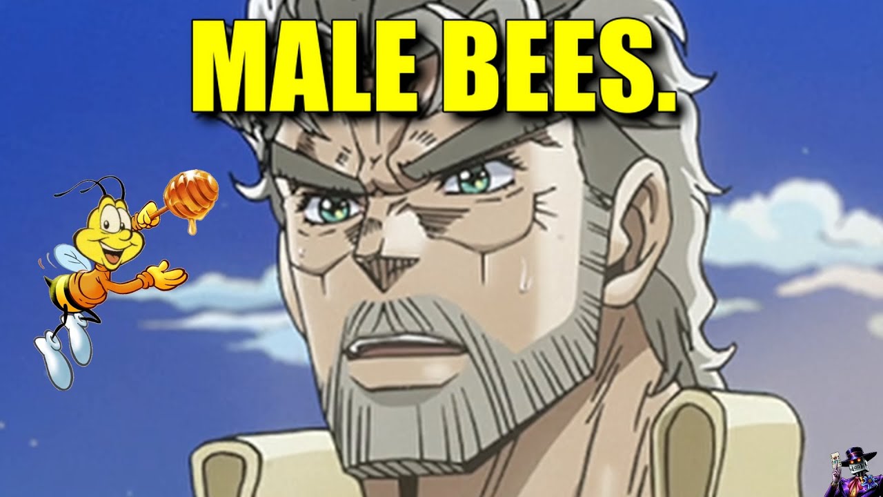 MALE BEES AVDOL! | JJBA MEMES - YouTube