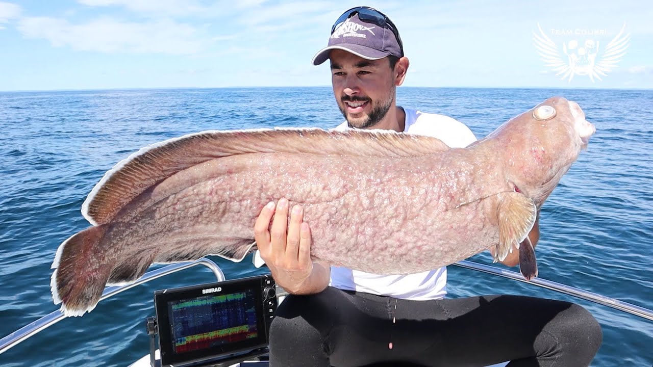 Video: Havfiske i Langesund - Bli med Atle og Fredrik på dypet ...
