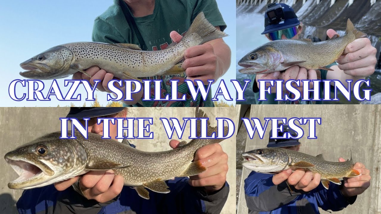 TROUT FISHING THE BIGGEST SPILLWAY IN THE USA! (HUGE TROUT ARE HIDING ...