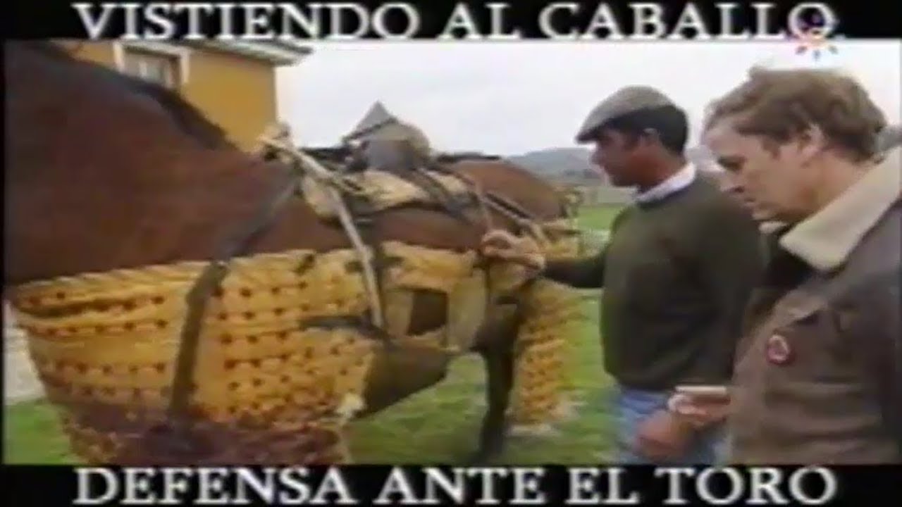 Vistiendo Al Caballo, Defensa Ante El Toro - YouTube