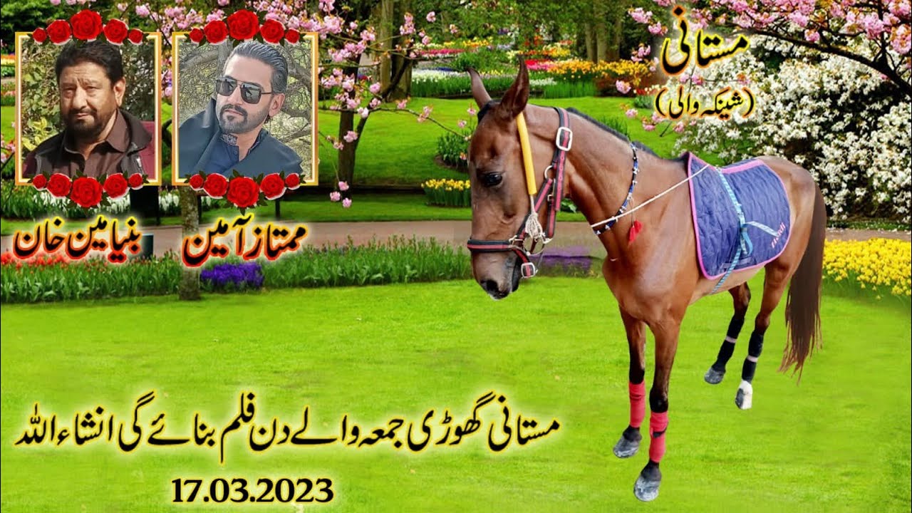 "Mastani Shinka Wali" Wacheri 1st try. OWNERS BIny Ameen TAZ AMEEN # ...