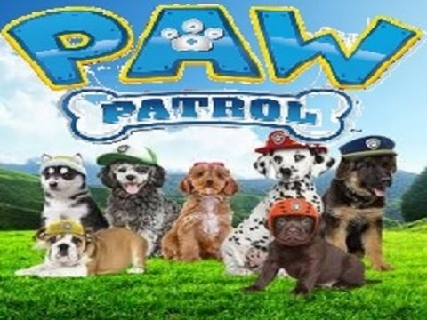 Paw Patrol - 2017 *** Pups In Real Life *** NEW - YouTube