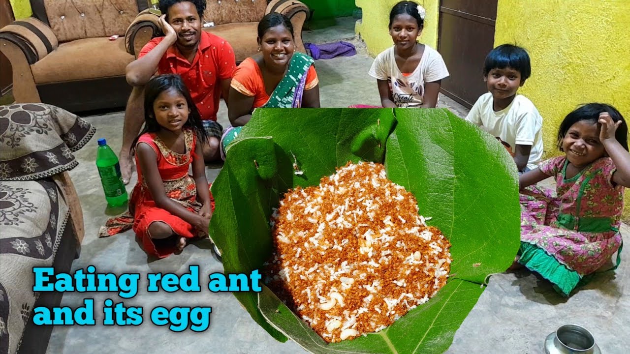 Eating Red Ant And It's Egg,Eating Show,Eating Village Style,Red Ant,My ...