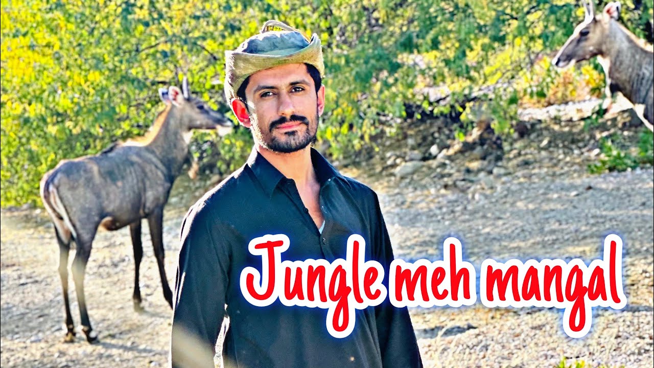 Pakistan meh Africa ke jungle..😍😳 || Picnic 🧺 ️ - YouTube