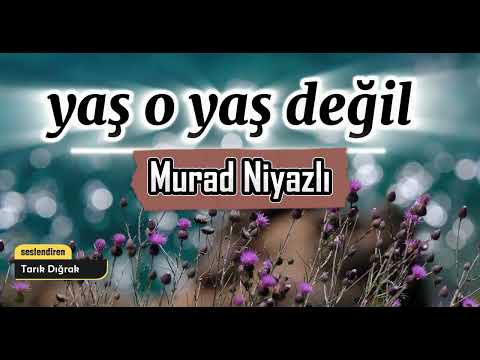Azeri Murad Niyazlı I Yaş o yaş deyil   ( Şiir )