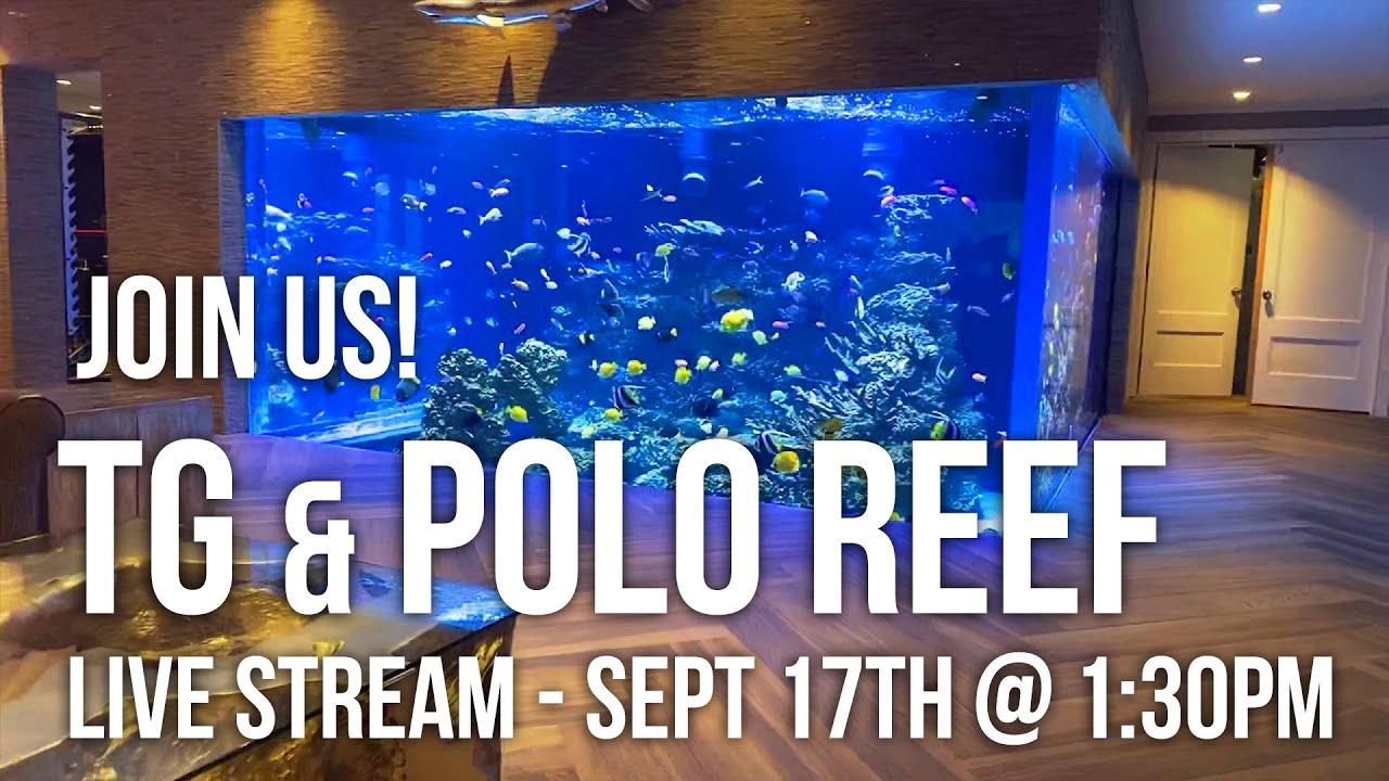 Tidal Gardens in NY with Andrew Sandler of Polo Reef - YouTube