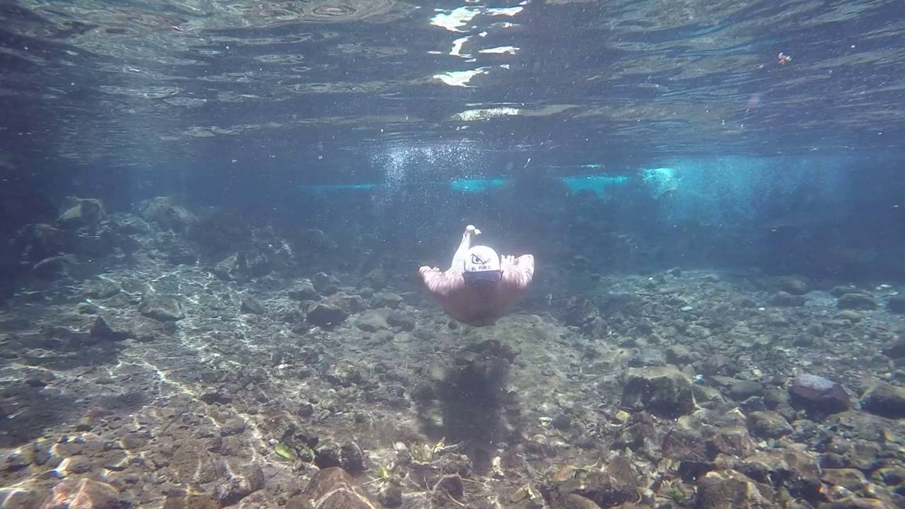 Nadando en el río - YouTube