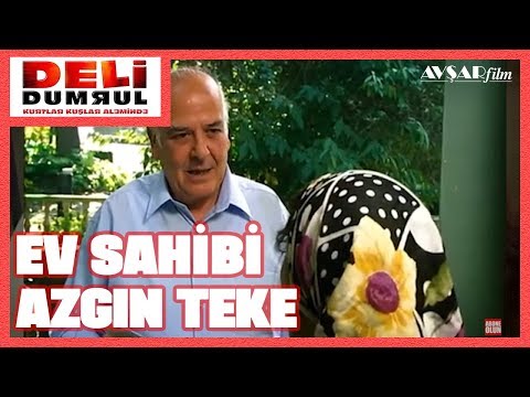 Ev Sahibi Azgın Teke / Deli Dumrul Kurtlar Kuşlar Aleminde