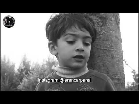 Seven hep kaybeder abii