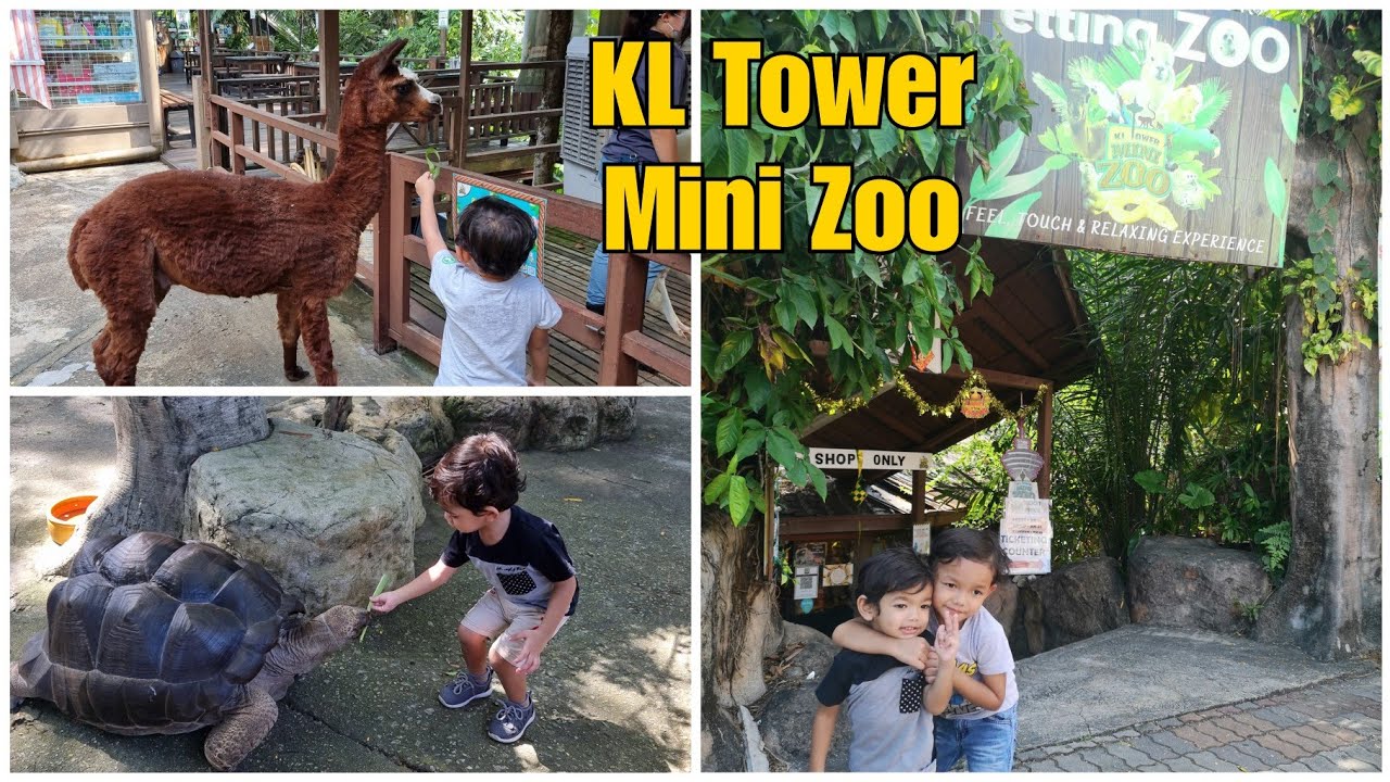 KL Tower Mini Zoo | June 2022 - YouTube