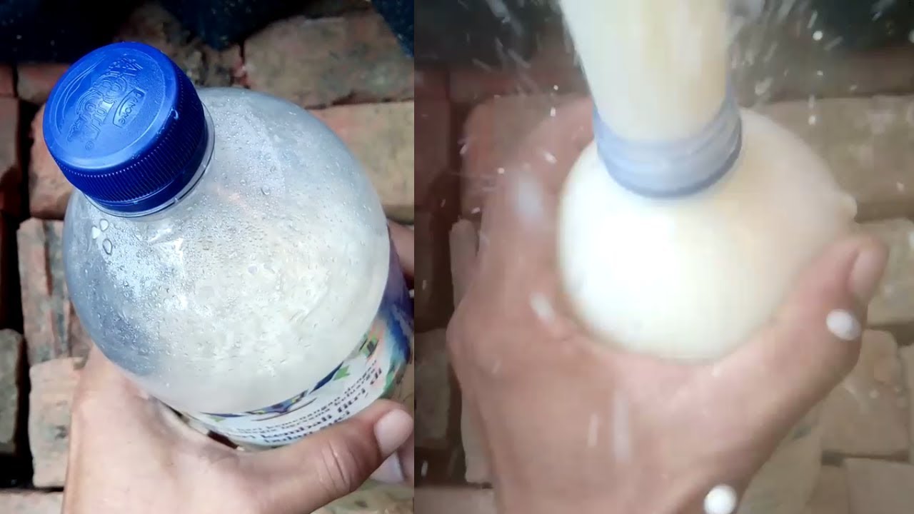 Natural fertilizer from Leftover Rice | Fertilizer organic + Nutrition ...