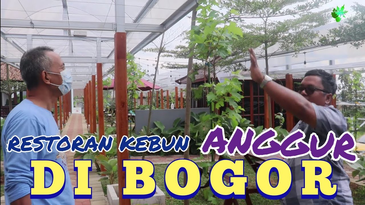 Restoran ANGGUR di BOGOR !! - YouTube
