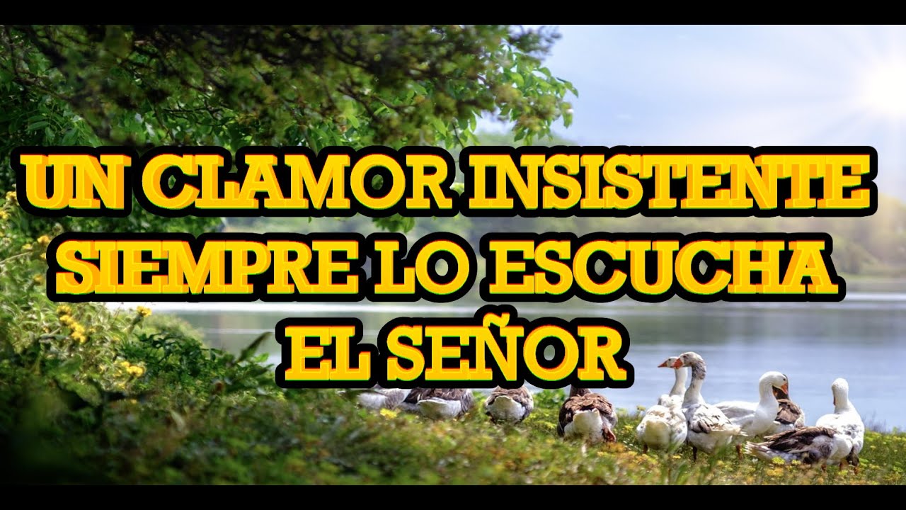 Un clamor insistente siempre lo escucha el Señor - YouTube
