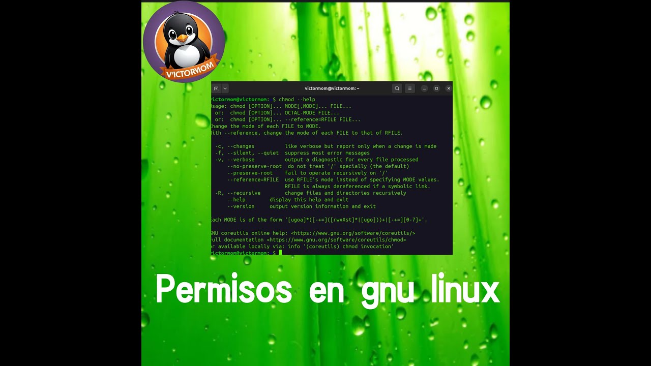 Permisos en linux - YouTube
