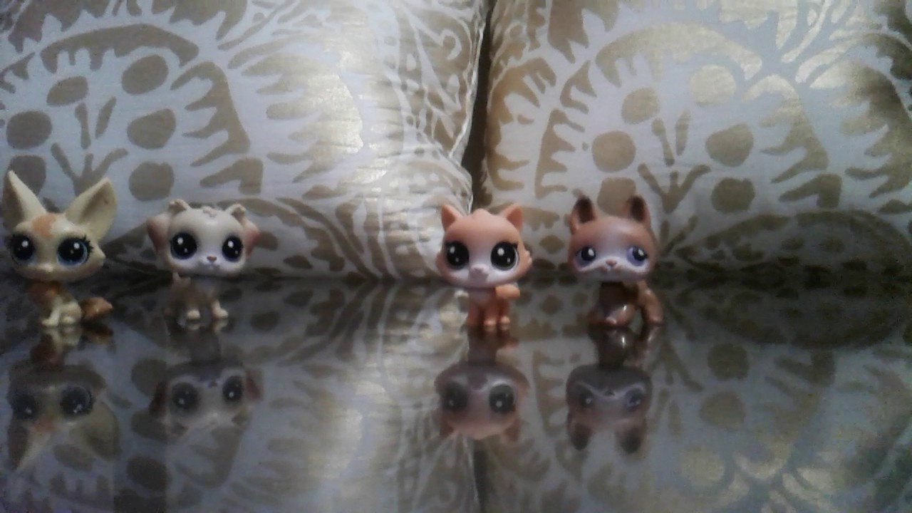 Lps Comedy Fallout (Ep 4) new lps - YouTube