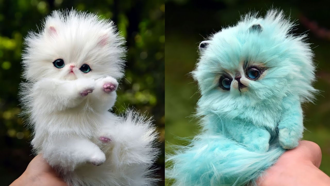 Persian Cat — Funny Adorable Videos Compilation Animals Funniest Laugh ...