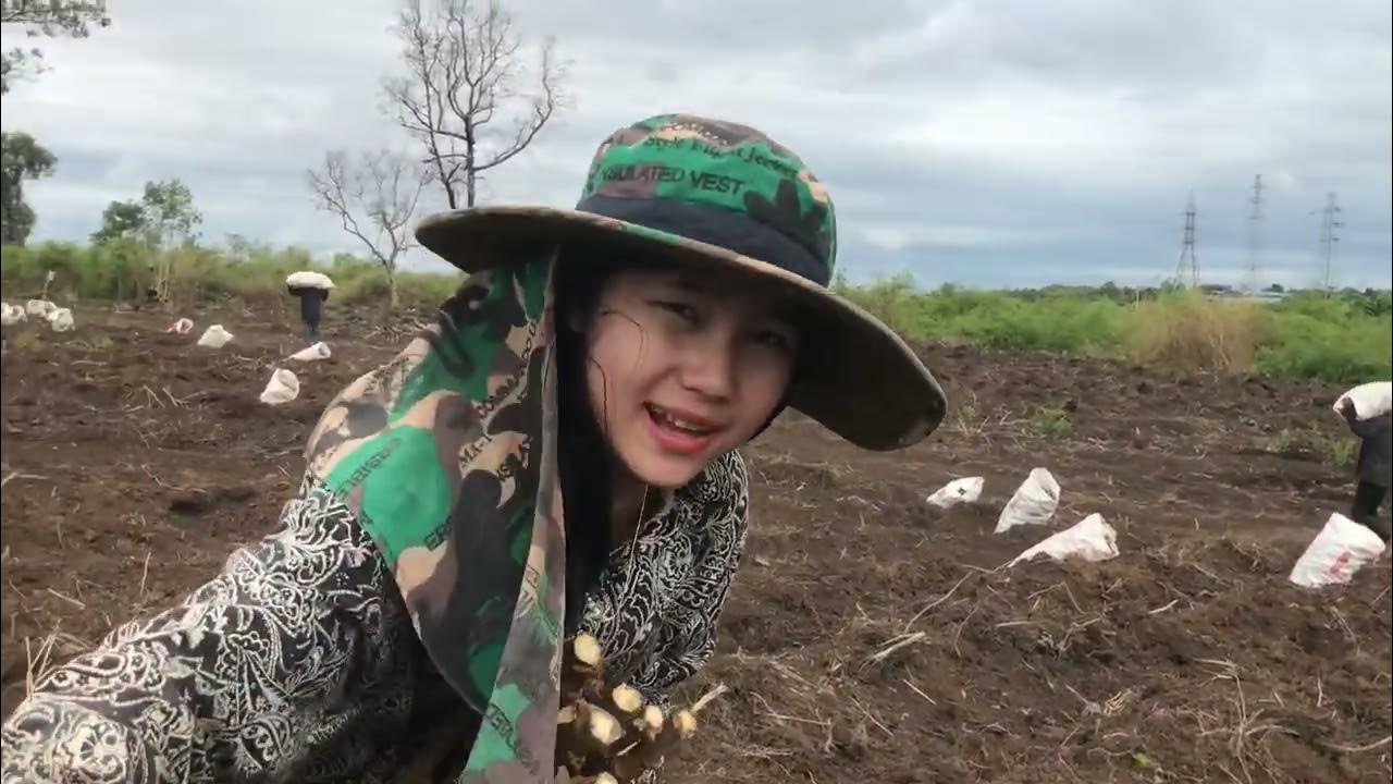 Hnub no mus nrog niam dab laug lawv cog qos. - YouTube