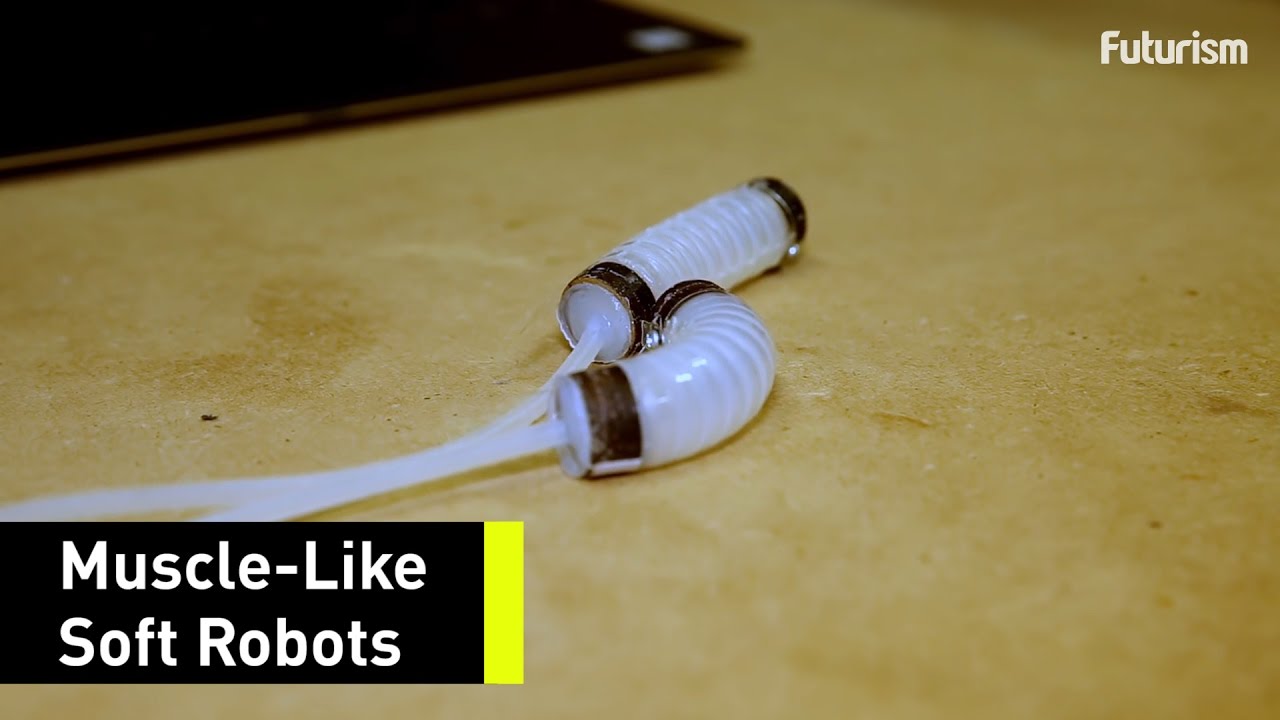 Muscle-Mimicking Robots Could Change Physical Therapy - YouTube
