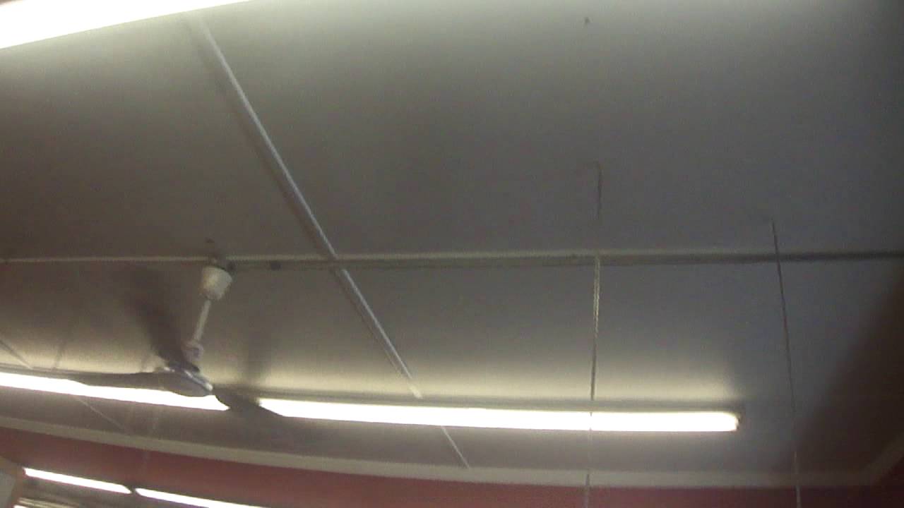 56" Envirofan Silver Line industrial ceiling fans - YouTube