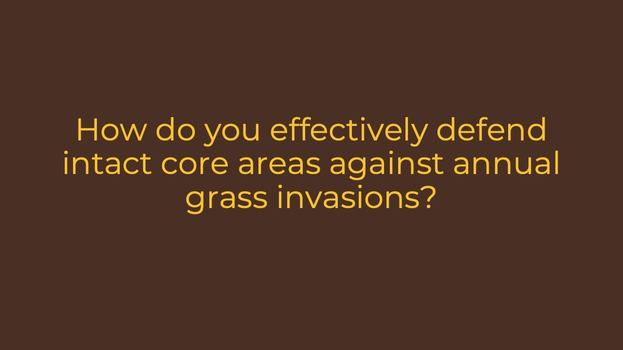 How do you effectively defend intact core areas against annual grass ...