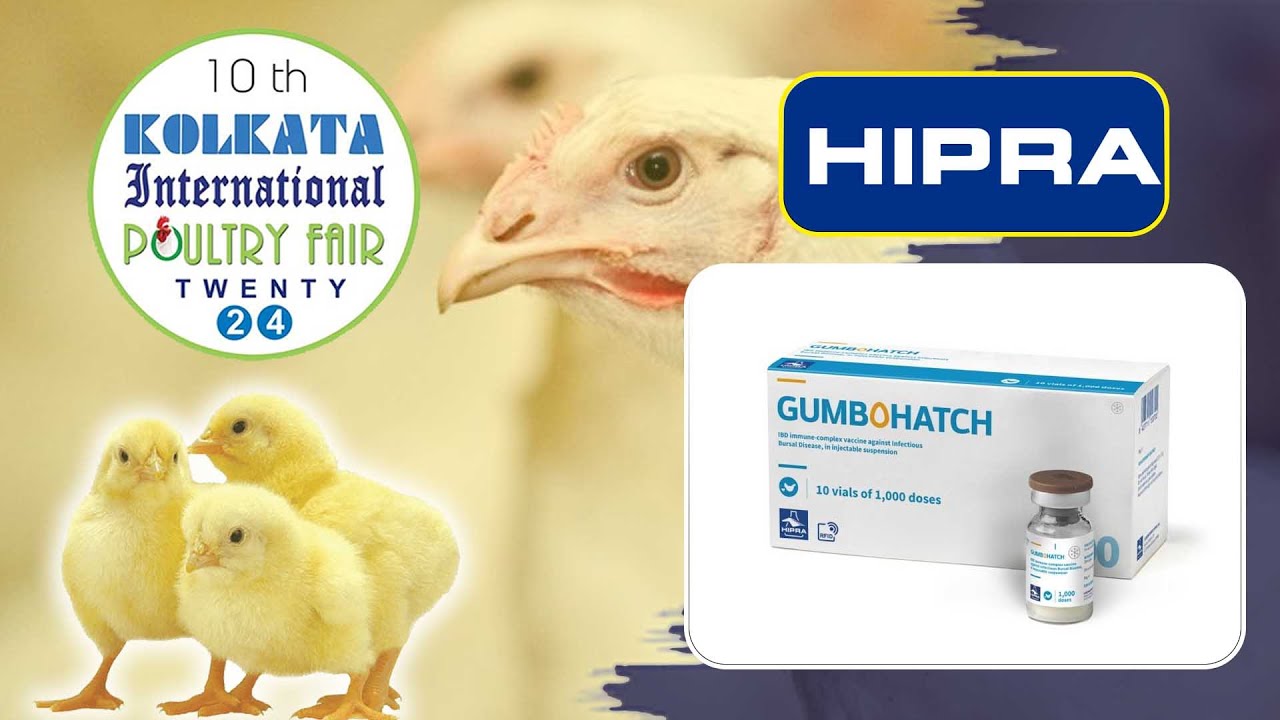 Gumbohatch IBD Immune Complex Vaccine | HIPRA | Kolkata International ...
