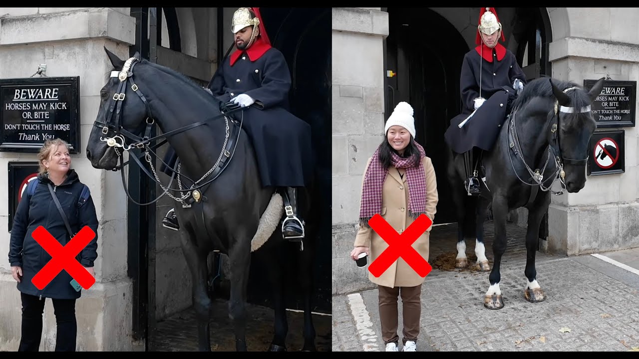 Compilation - Guard confronted Rule Breakers at Horse Guards London ...