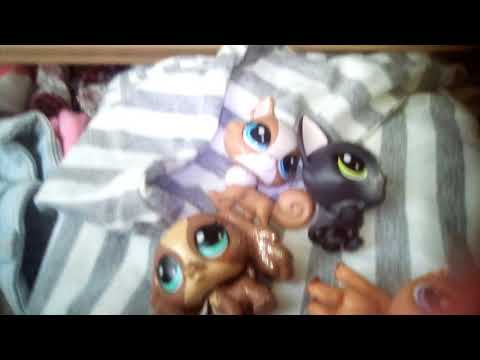 Minişler canlanırsa  part2   Dila özer