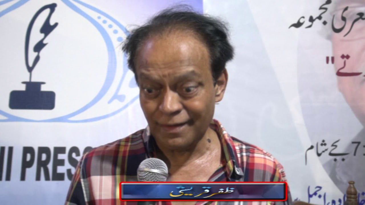 Zafar Qureshi views about "1001 Titles" by Wasi Haider Artist for a ...