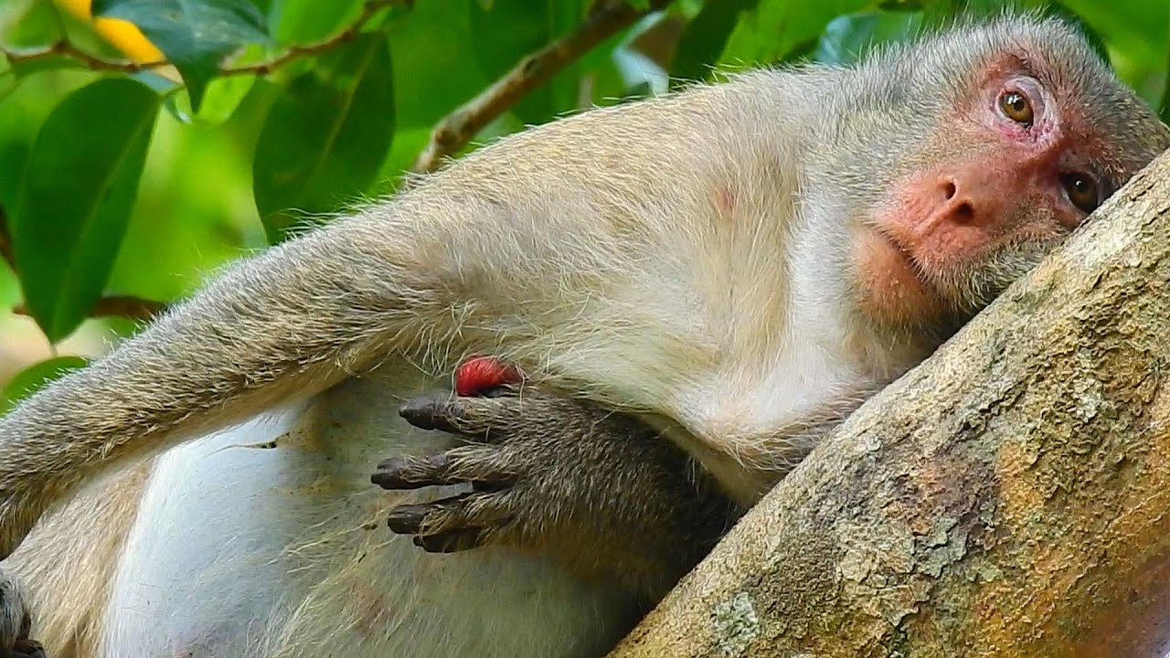 to blessing you all the best Jane good luck to hurry up anyone looking ...