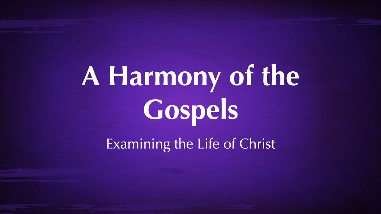 The Birth and Childhood of John the Baptist and Jesus #5 - YouTube