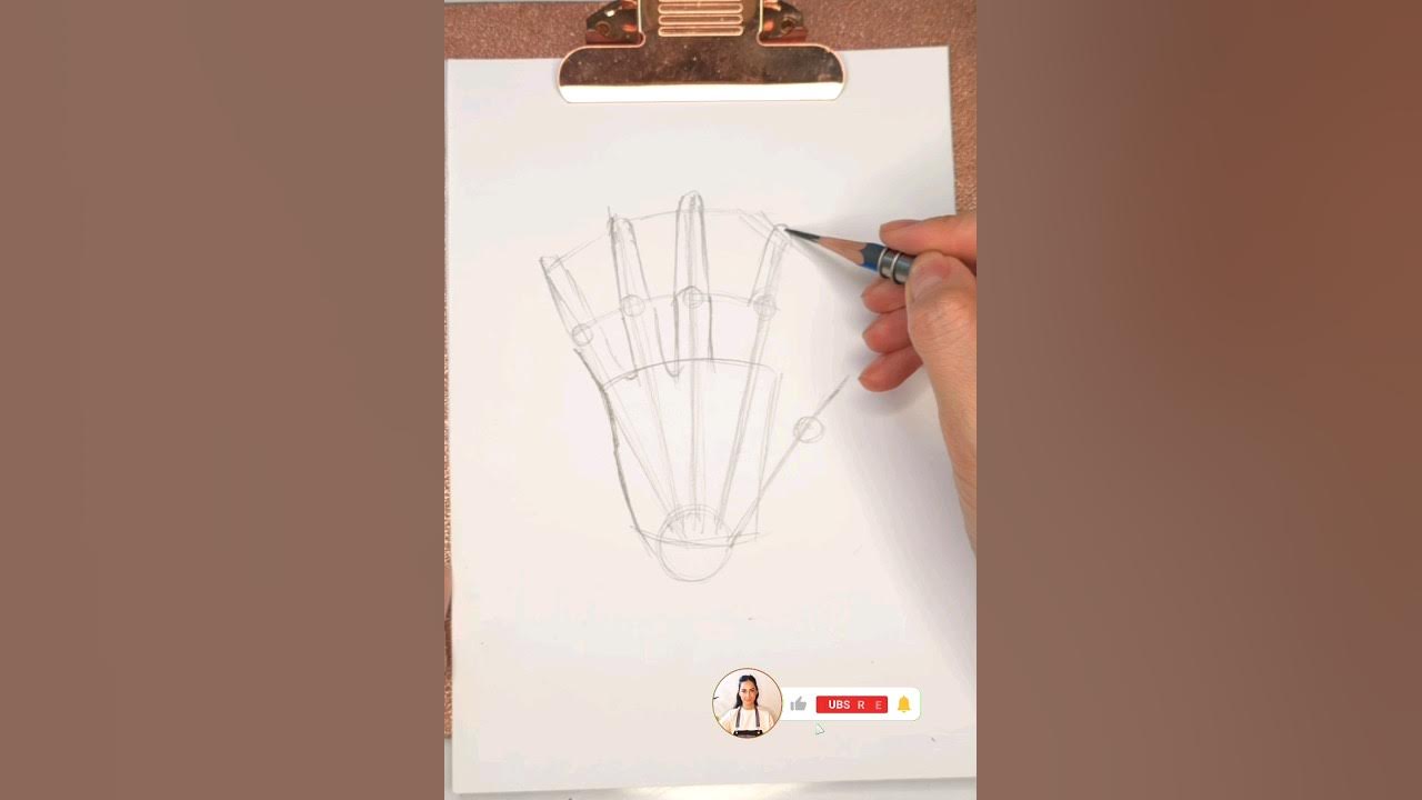 ხელის ხატვა ანატომია ხატვისგაკვეთილები ხატვა ხელი