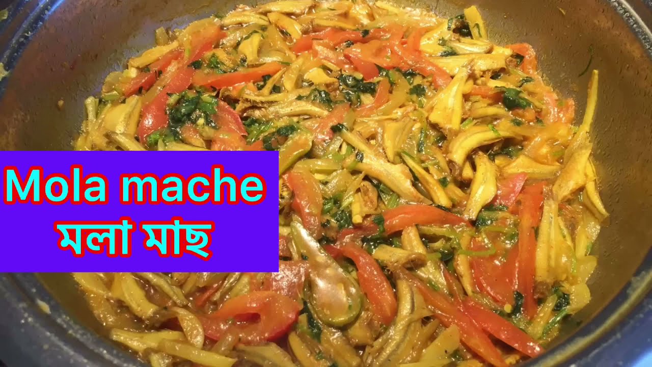 Video165:- How I cook mola fish/মলা মাছ ভুনা আমার স্টাইলে - YouTube
