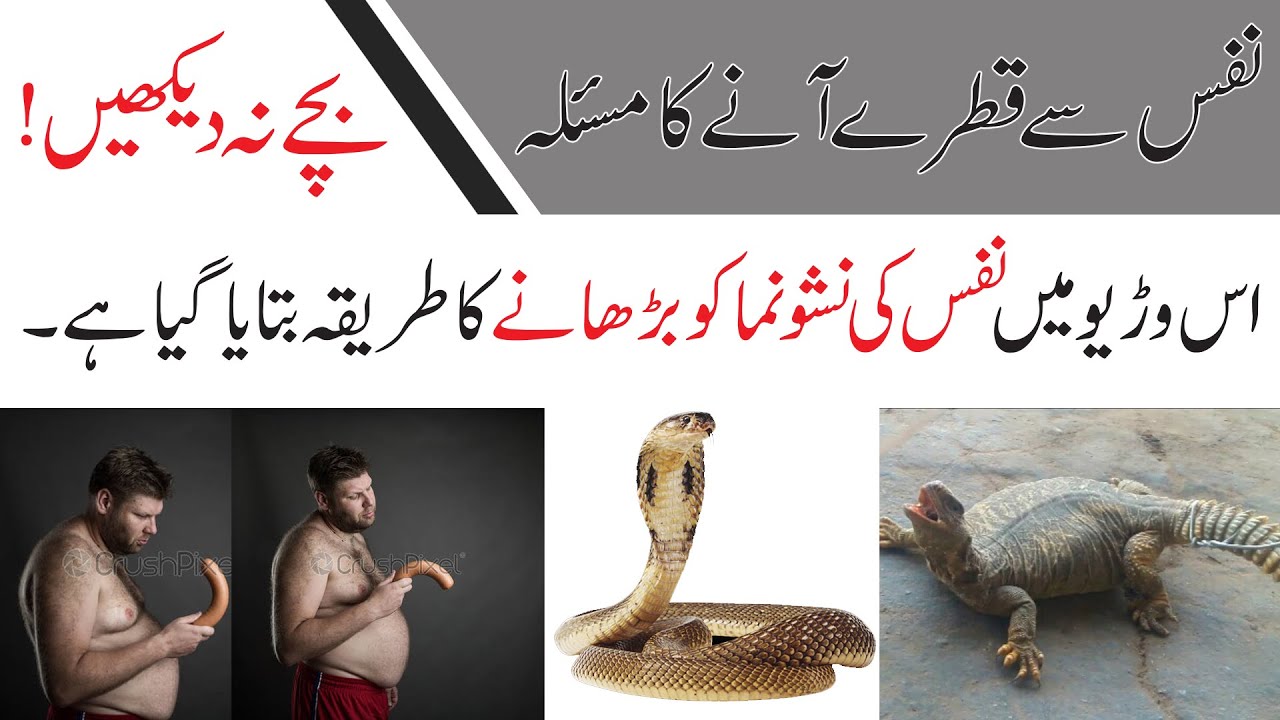 Nafs ke Qatron ka Ilaj | Mani K Qatray Aane ki bimari ka ilaaj ...