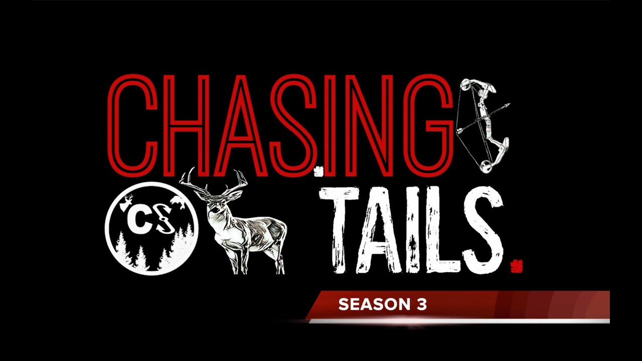 SEASON 3 OF CHASING TAILS INTRODUCTION - YouTube