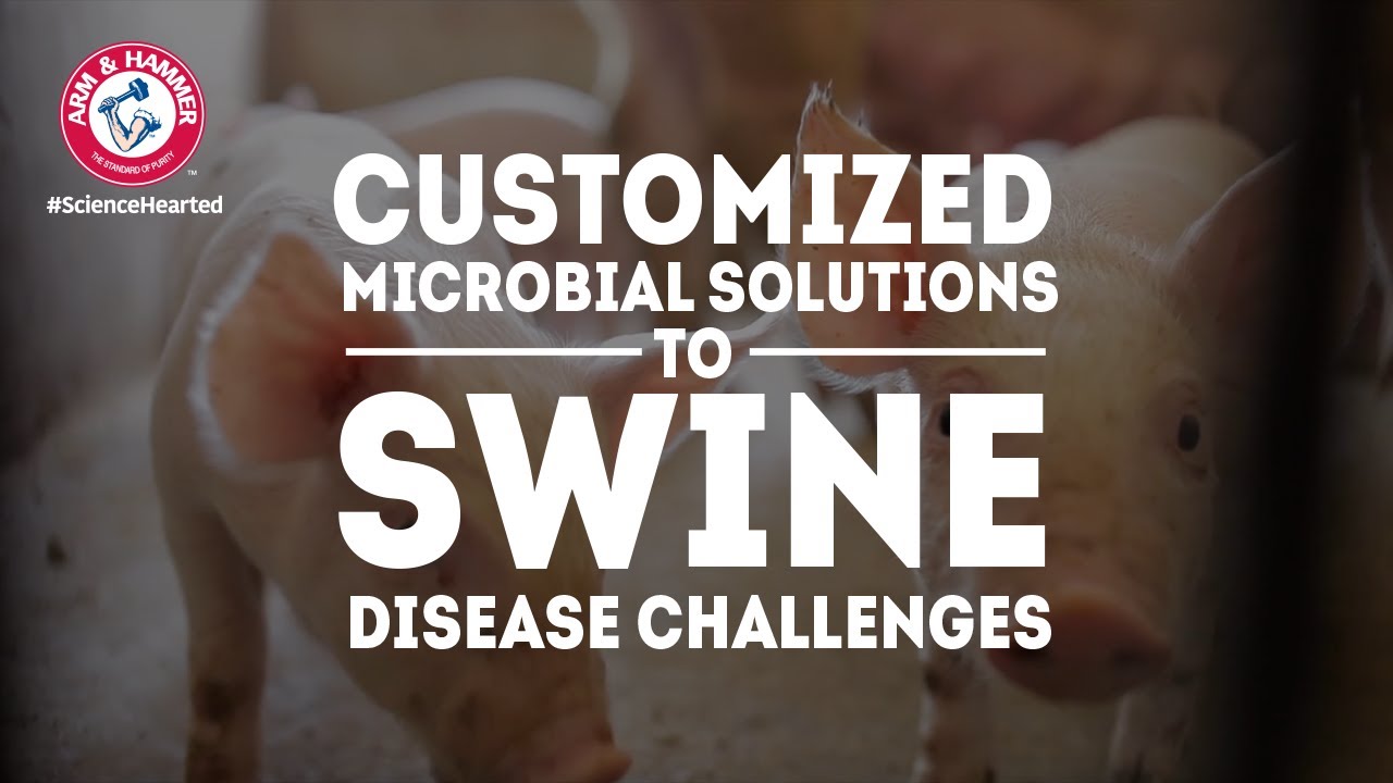 Lab View of How CERTILLUS and Microbial Terroir Build Resiliency in ...