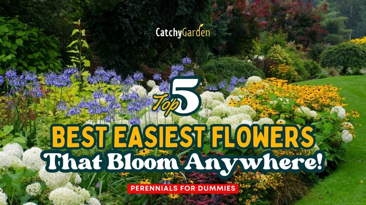 Perennials for Dummies: 5 Best Easiest Flowers That Bloom Anywhere! 🌻🌺🌿 ...