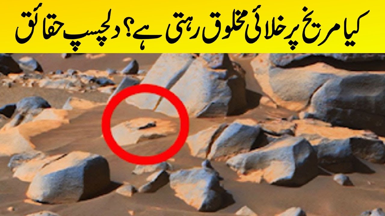 Kiya Mareekh Par Khalai Makhlooq Rehti Hai? Dilchasp Haqaiq Samne Aa ...