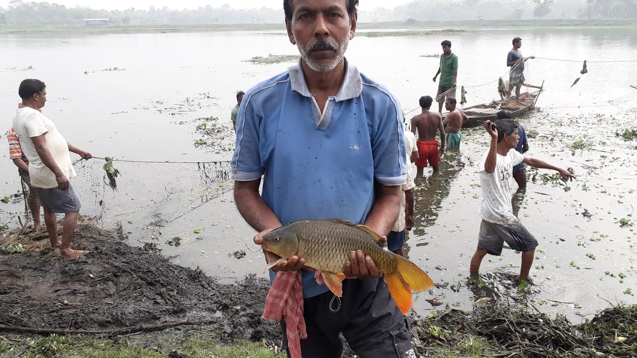 Net Fishing Part-2 Traditional Big Net Fishing | BIG NET FISHING - YouTube