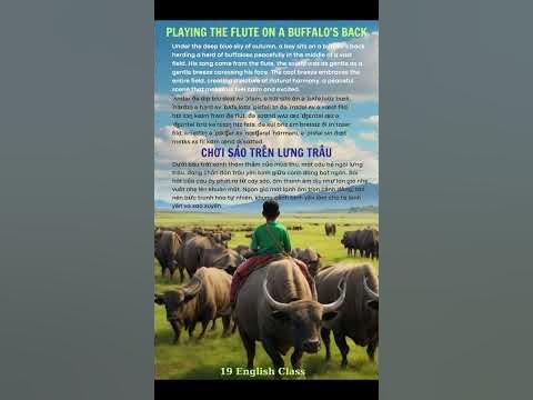 PLAYING THE FLUTE ON A BUFFALO'S BACK #englishexpressions #vocabulary # ...
