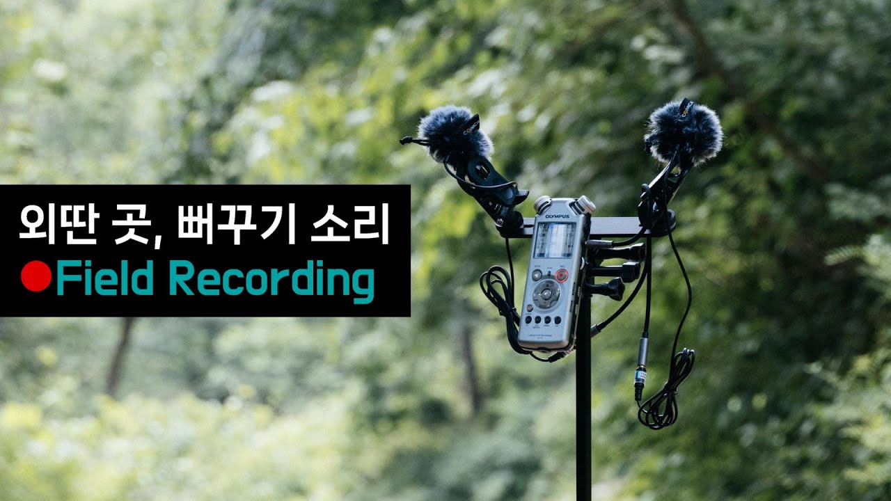 뻐꾸기 소리, 필드레코딩 | olympus ls-11 & Clippy EM272 | field recording - YouTube