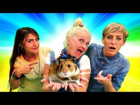 Komik video. 3 Kadın; Oksana hamster hikayesi anlatıyor! Challenge oyunu