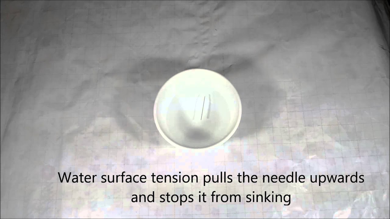 How to make a needle float and sink - YouTube