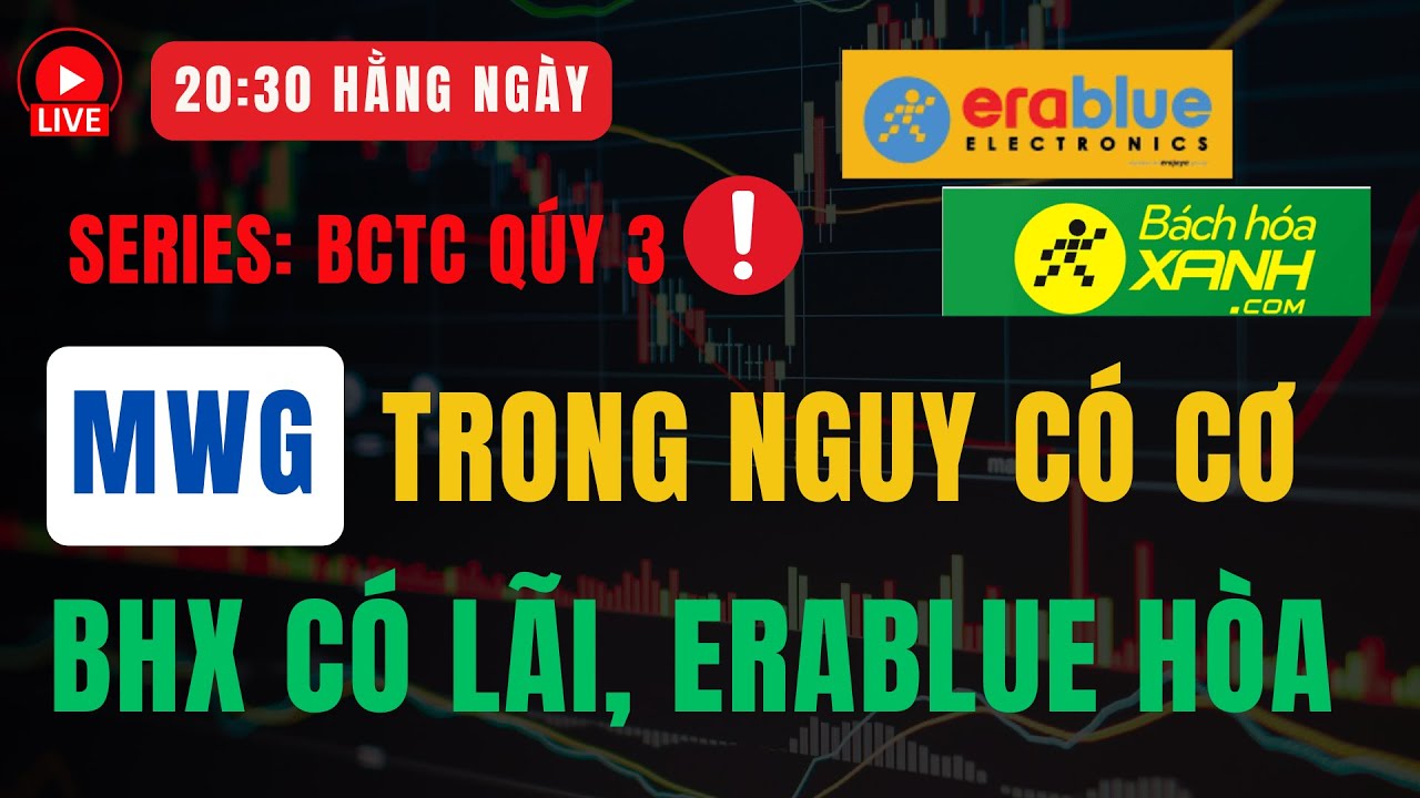 Phân tích BCTC MWG Q3: Sự thật BÍ ẨN đằng sau các con số - YouTube