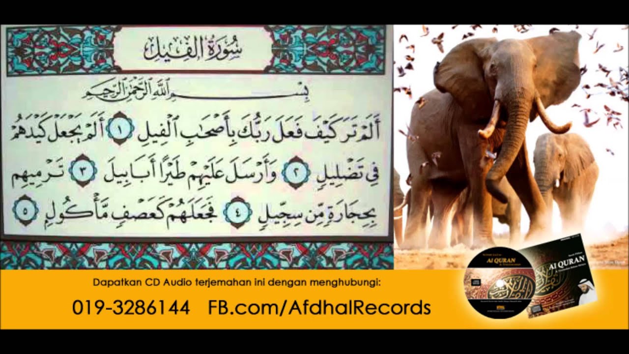 Surah Al Fiil dengan terjemahan Afdhal Records - YouTube